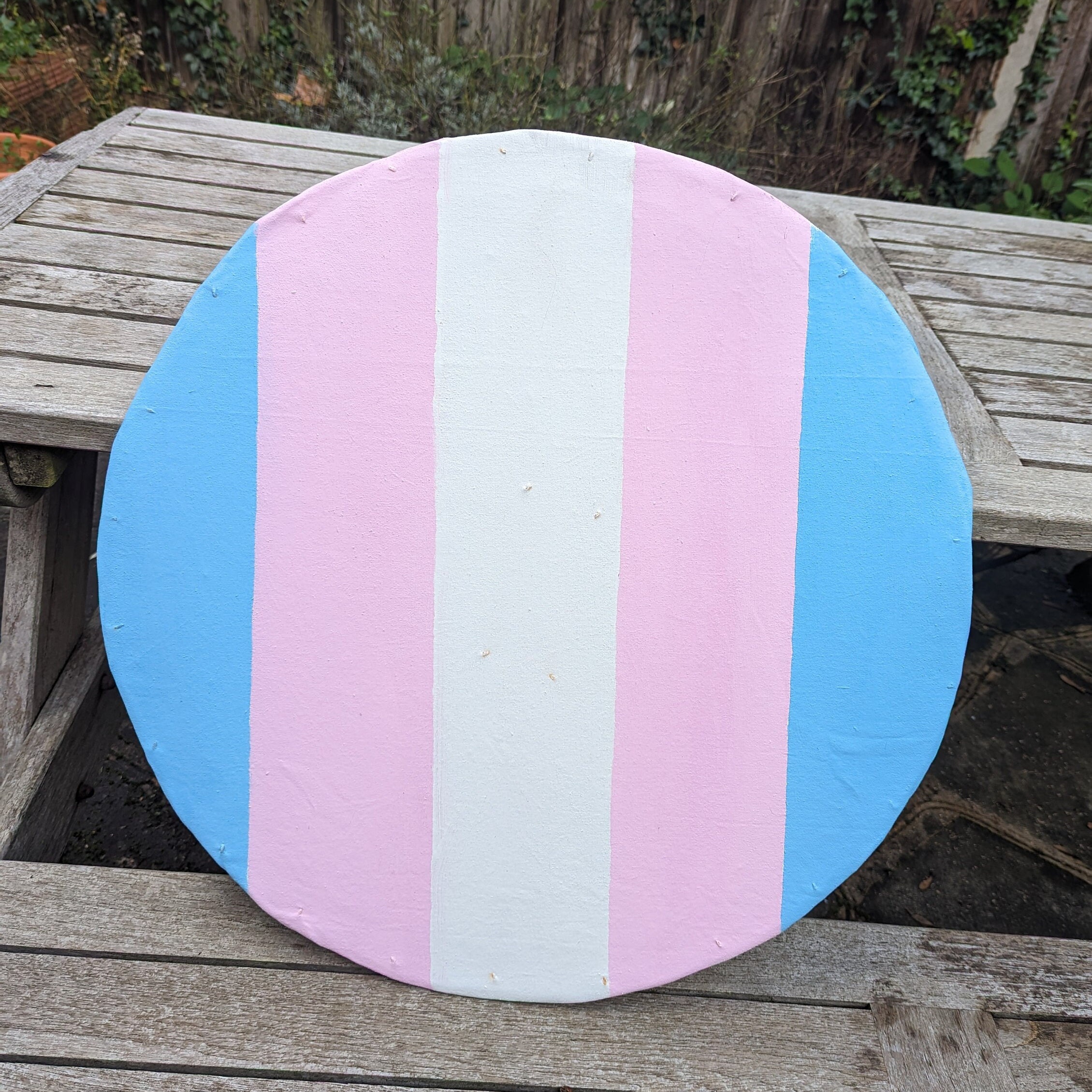 Trans Flag Shield for Cosplay / LARP / Pride / Display - Etsy