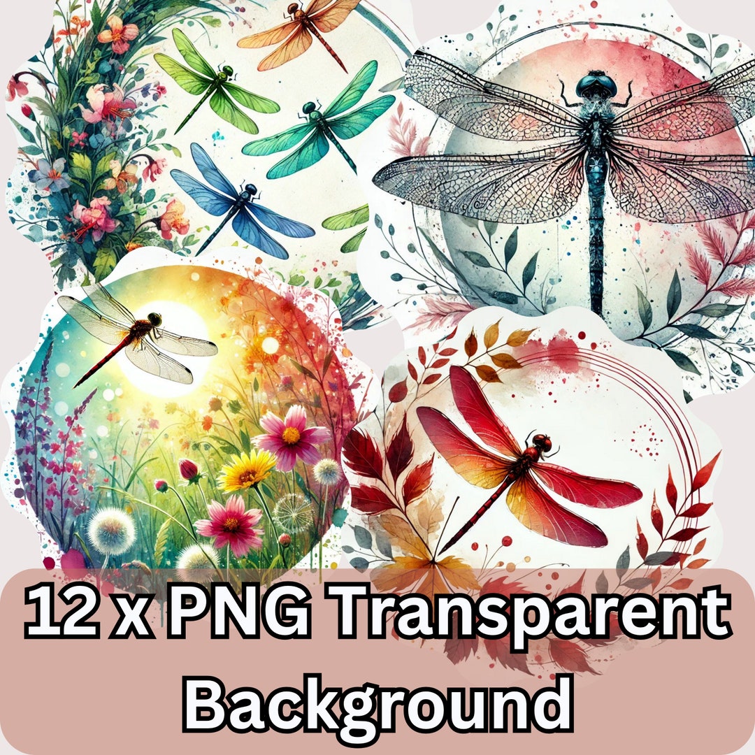Magical Dragonfly Clipart Collection for Instant Download - Etsy