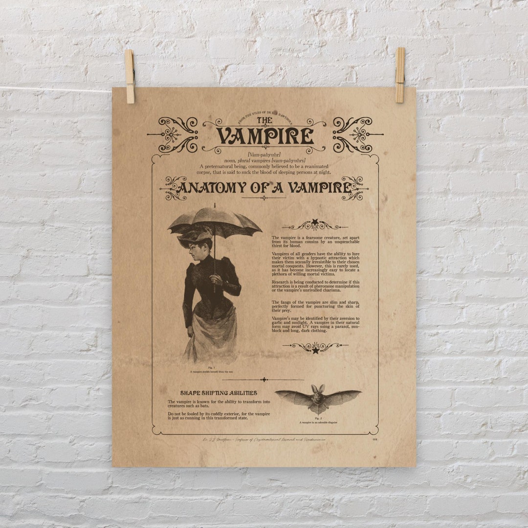 Anatomy of a Vampire Art Print Poster | Horror, Halloween, Vintage ...