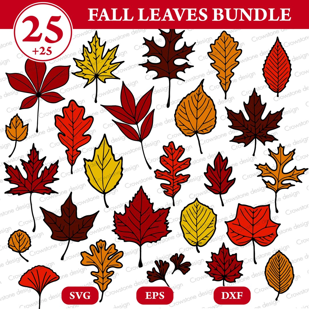 25 Fall Leaves SVG Bundle,fall Svg Bundle,autumn Leaves Svg,fall Decor ...