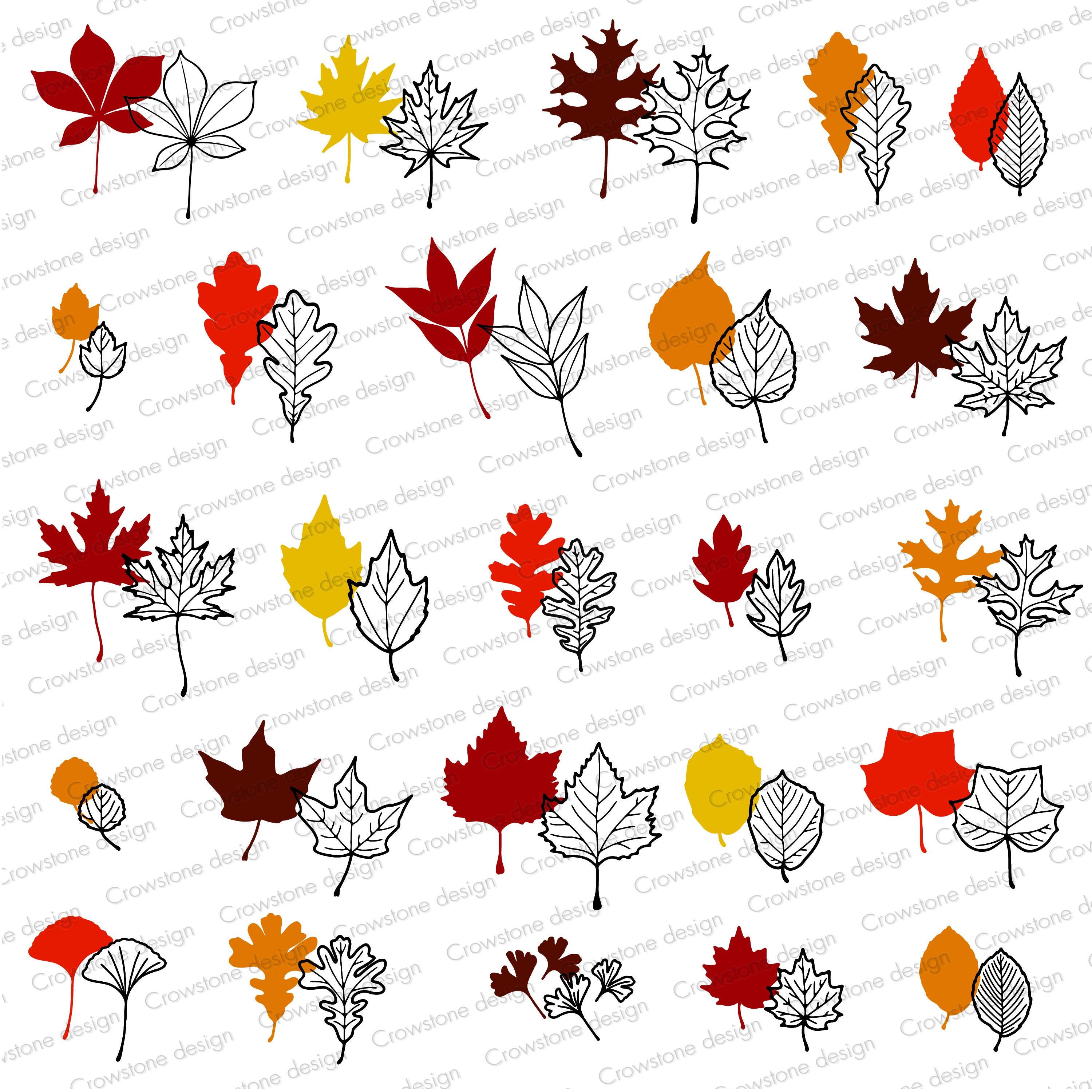 25 Fall Leaves SVG Bundle,fall Svg Bundle,autumn Leaves Svg,fall Decor ...