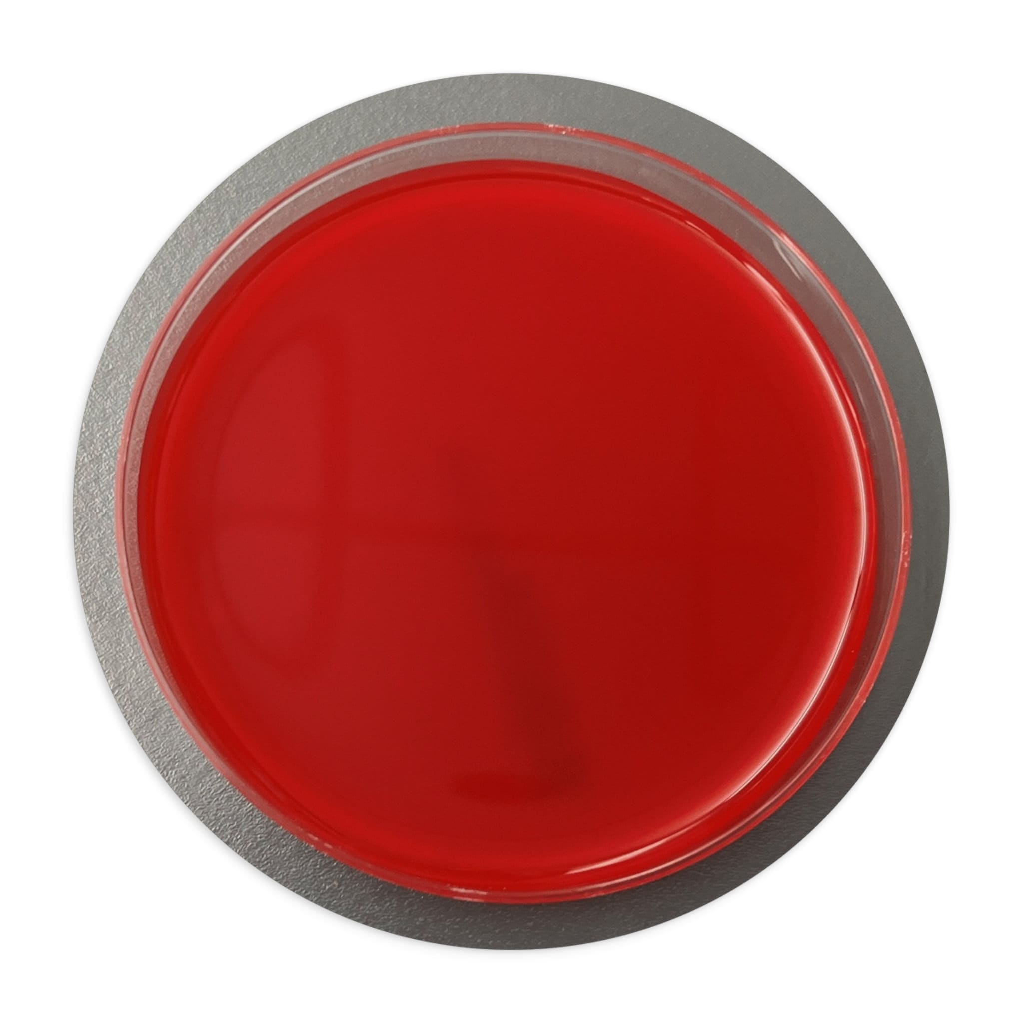 Blood Plate Bap Petri Dish Bacteria Microbiology Mouse Pad - Etsy