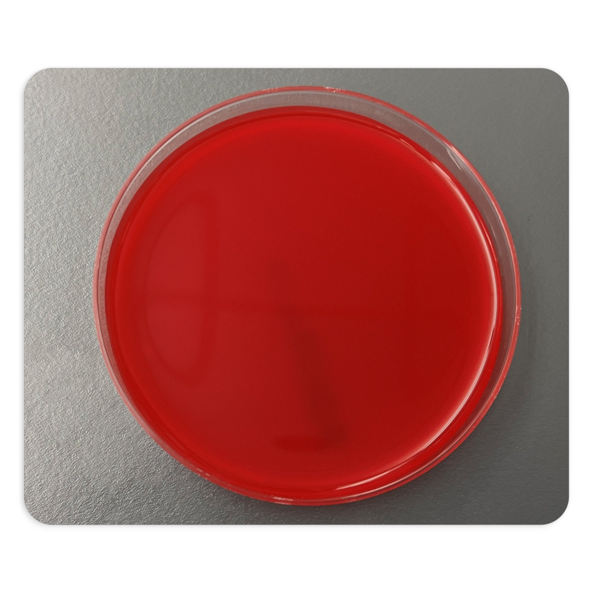 Blood Plate Bap Petri Dish Bacteria Microbiology Mouse Pad - Etsy