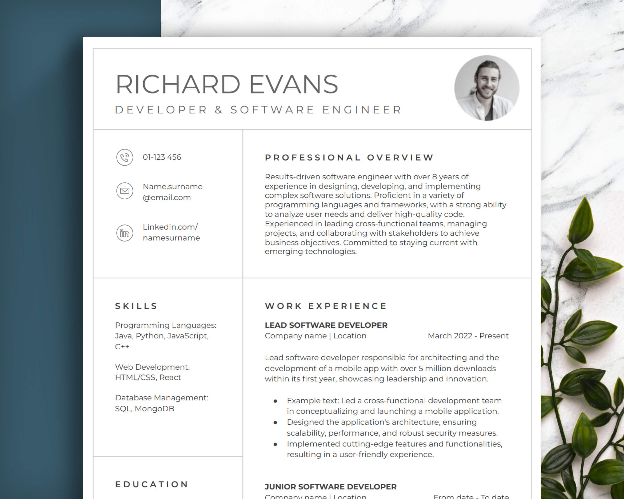 DEVELOPER Resume Template. Text and Sections for Programmers and ...