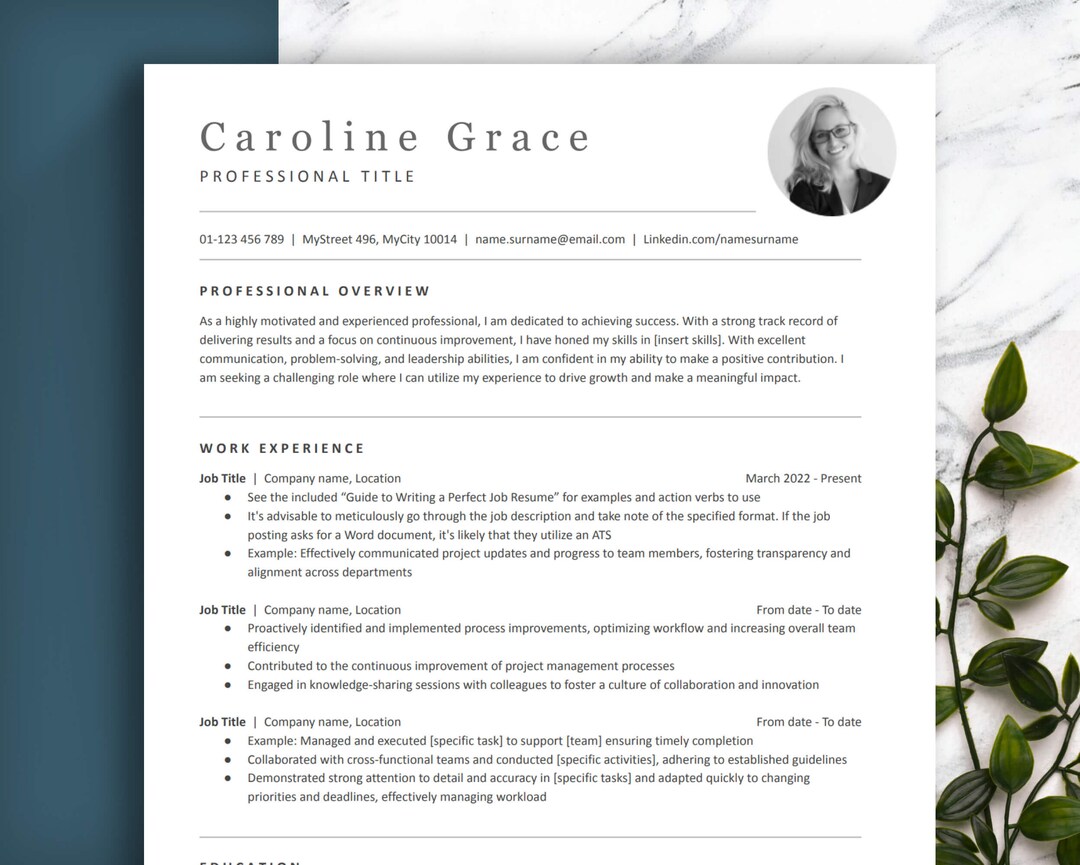 PROFESSIONAL CLEAN Ats-friendly Resume Template in Word, Google Docs ...