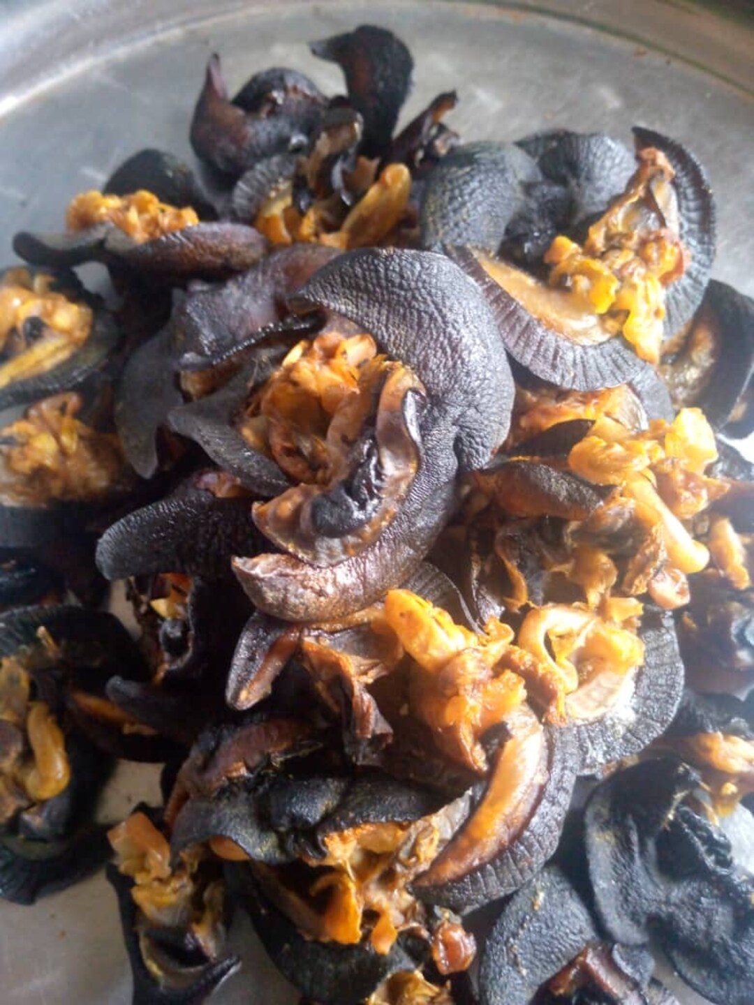 Oven Dried Snail, Snail 6pcs - Etsy