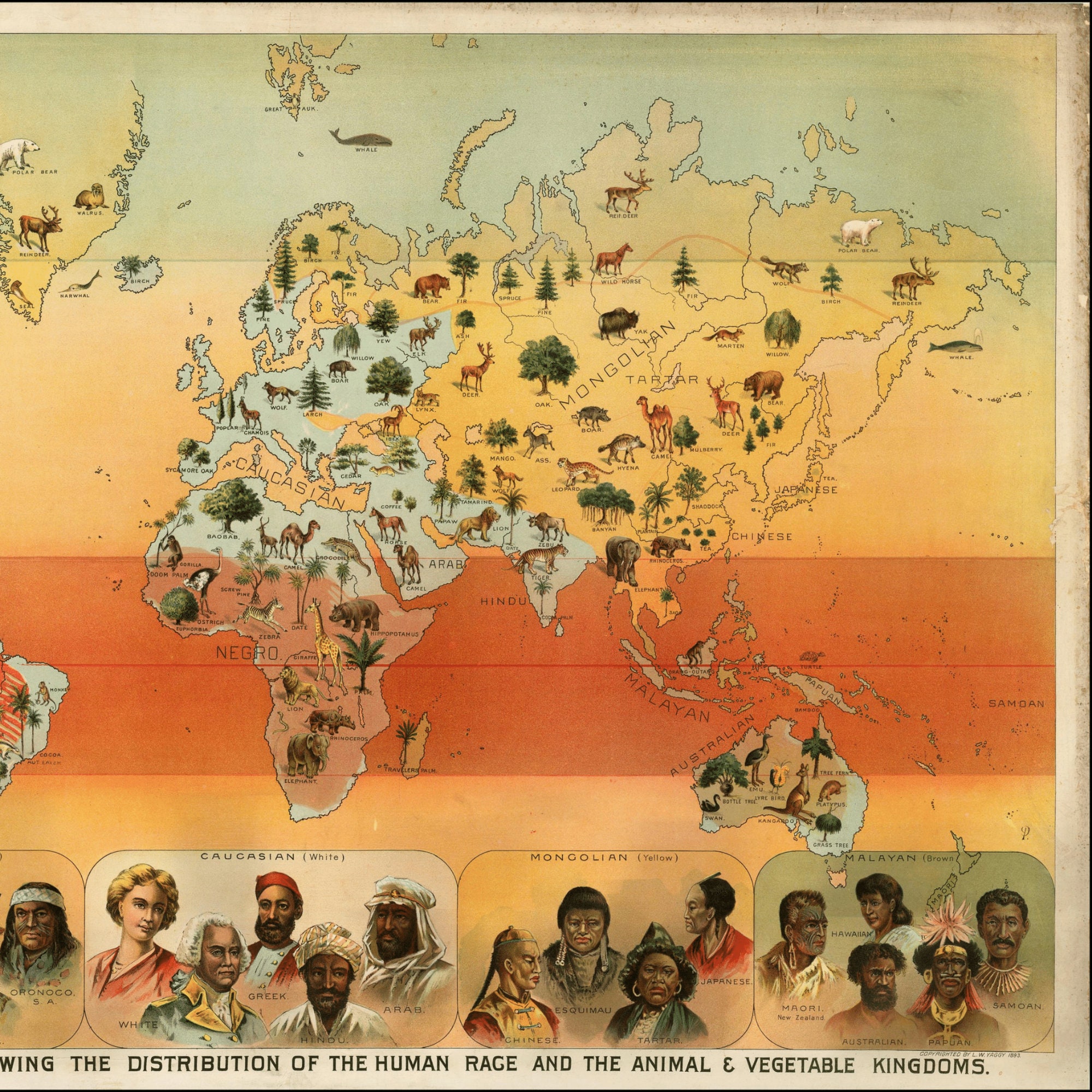 Vintage Map Climate Chart of the World 1893 Vintage World Map ...