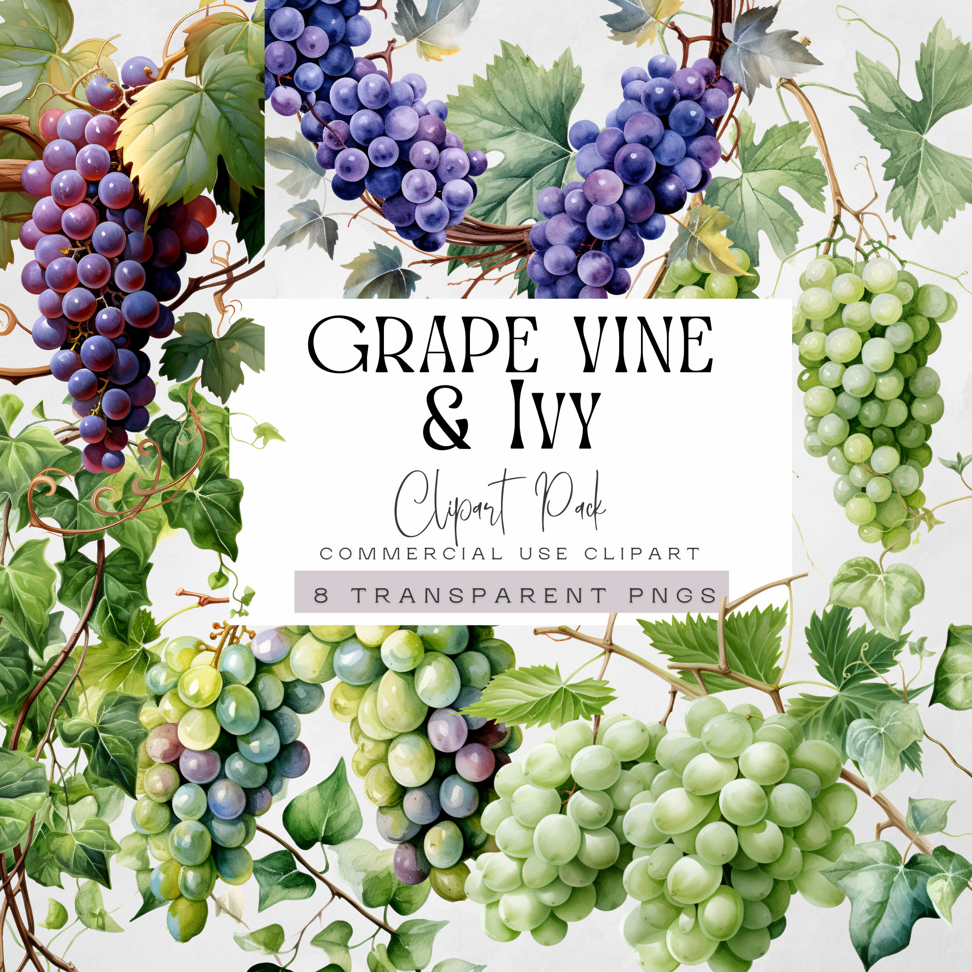 Grape Vine Images Clip Art