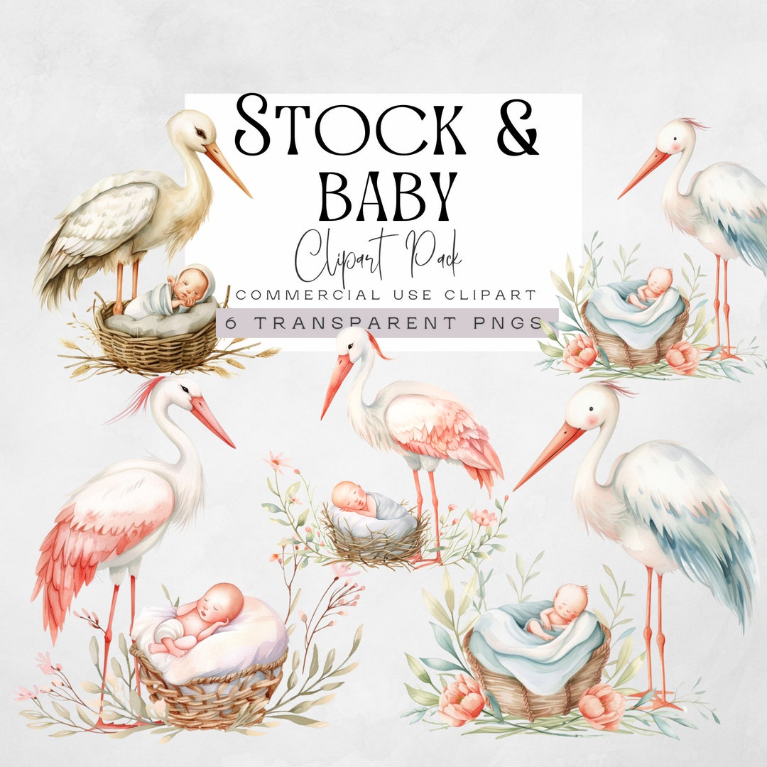 Stork Baby Clipart, Welcome Newborn Girl Clip Art, Watercolor Baby ...