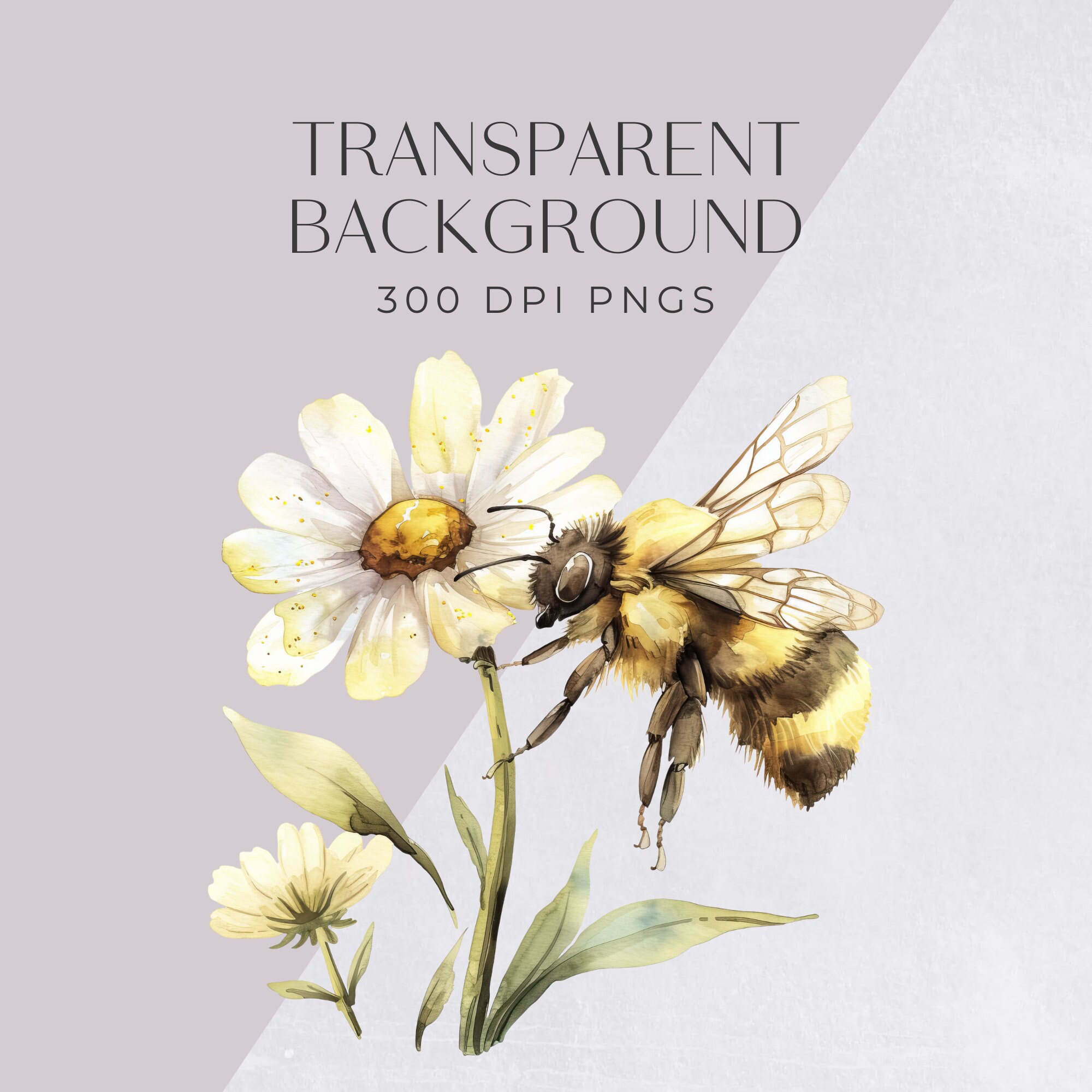 Watercolor Honey Bee Clipart Spring Garden Bee, Clipart for Gardeners ...