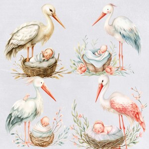 Stork Baby Clipart, Welcome Newborn Girl Clip Art, Watercolor Baby ...