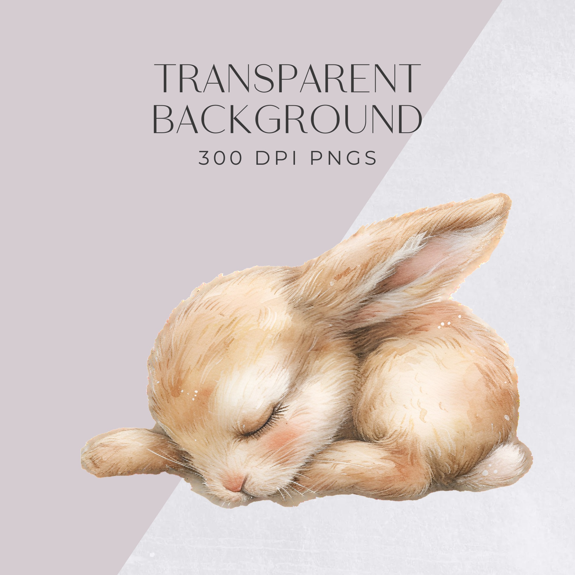 Sleeping Bunny Clipart, Cute Rabbit Asleep, Sweet Dreams Png, Nursery ...