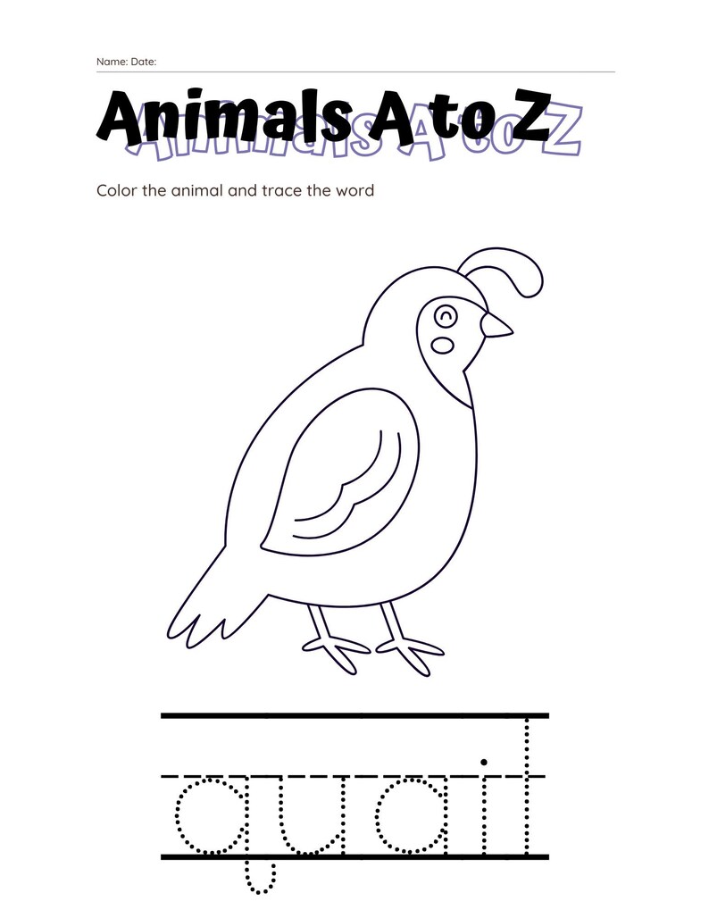 ABC Color Animal Book: A Vibrant Journey Through the Alphabet - Etsy