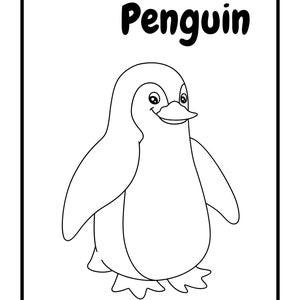 Ocean Wonders: A Sea Animal Exploration Book for Young Explorers” - Etsy