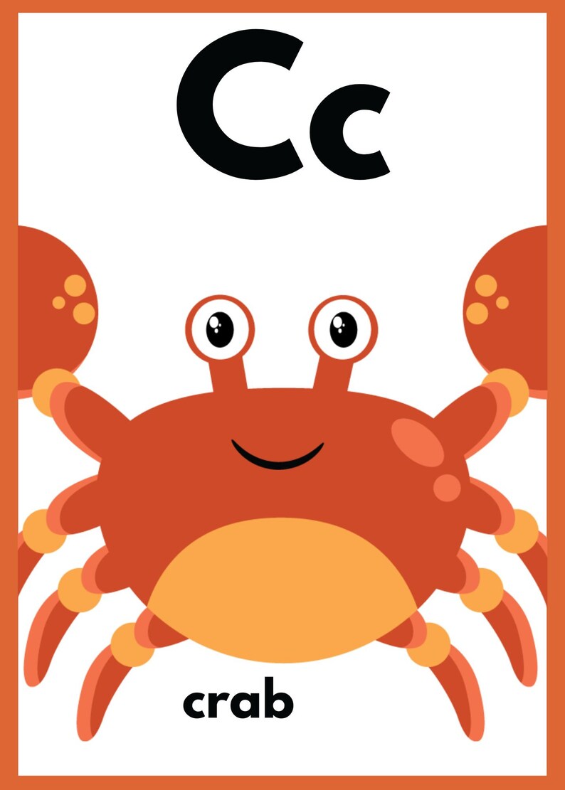 5x7 Inches ABC Discovery Deck: Flash Cards Fun, to Develop Motor Skills ...