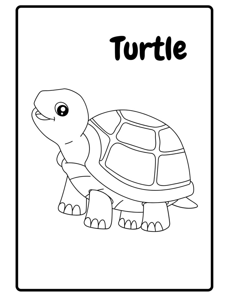 Ocean Wonders: A Sea Animal Exploration Book for Young Explorers” - Etsy