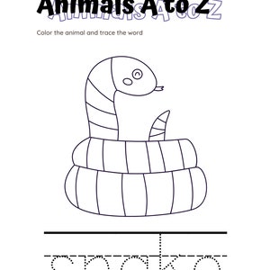 ABC Color Animal Book: A Vibrant Journey Through the Alphabet - Etsy