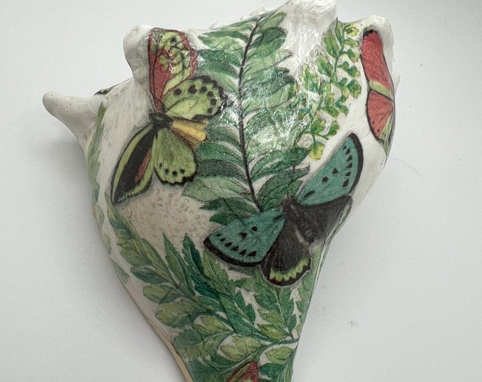 Botanical Butterfly Decoupage Whelk Conch Shell - Etsy