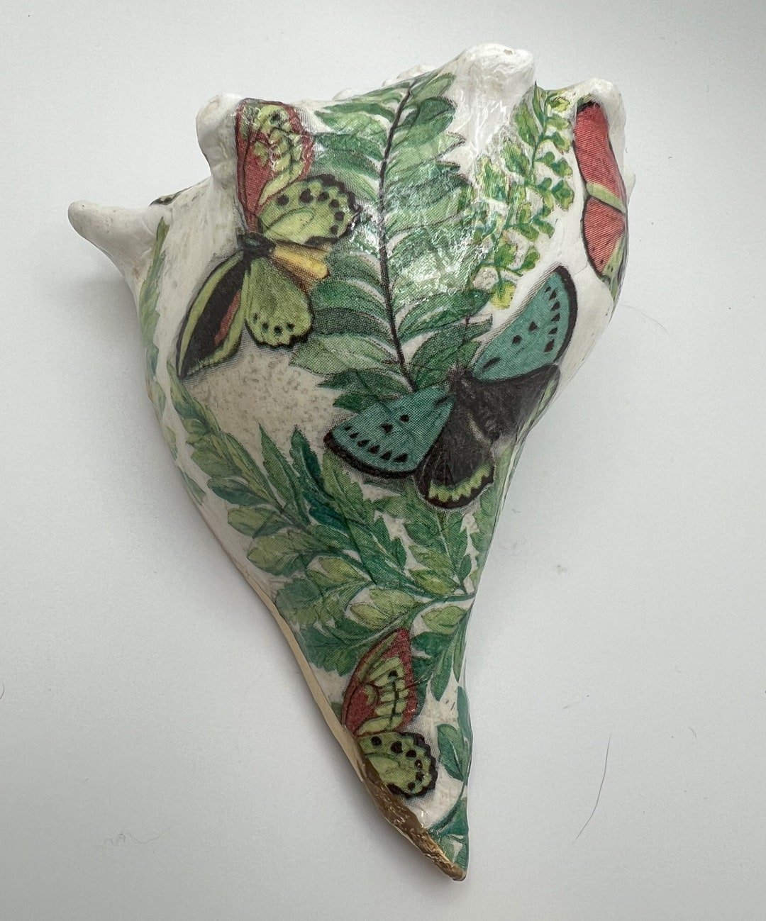 Botanical Butterfly Decoupage Whelk Conch Shell - Etsy