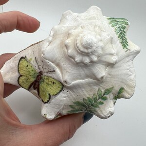 Botanical Butterfly Decoupage Whelk Conch Shell - Etsy