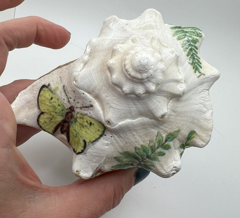 Botanical Butterfly Decoupage Whelk Conch Shell - Etsy