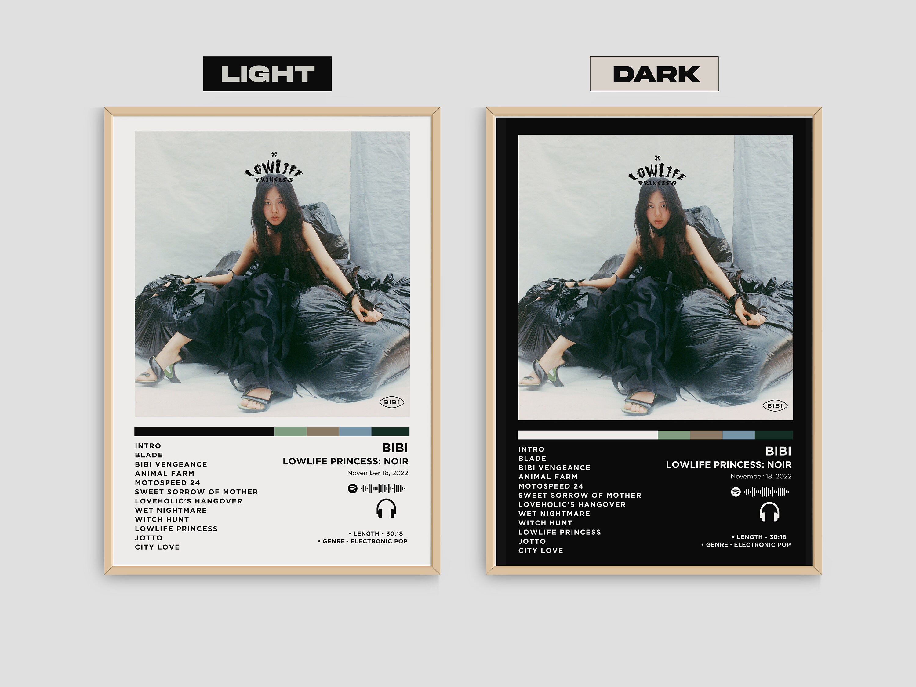 Bibi Lowlife Princess: Noir Album Poster / Album Cover Poster / Music ...