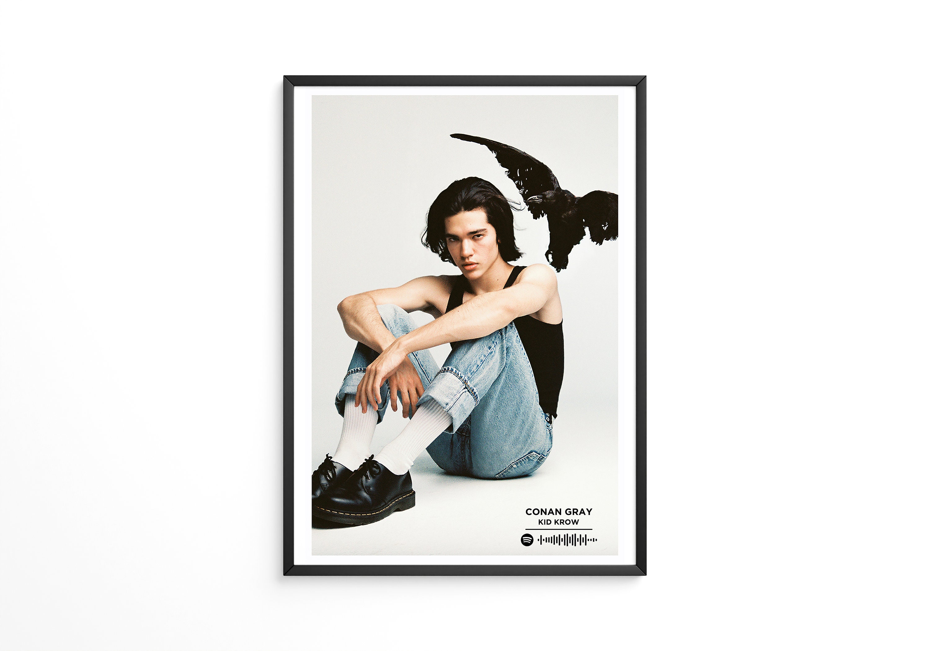 Conan Gray Kid Krow Album Poster / Album Cover Poster / - Etsy