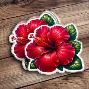 Tropical Hibiscus Radiance Sticker - Etsy