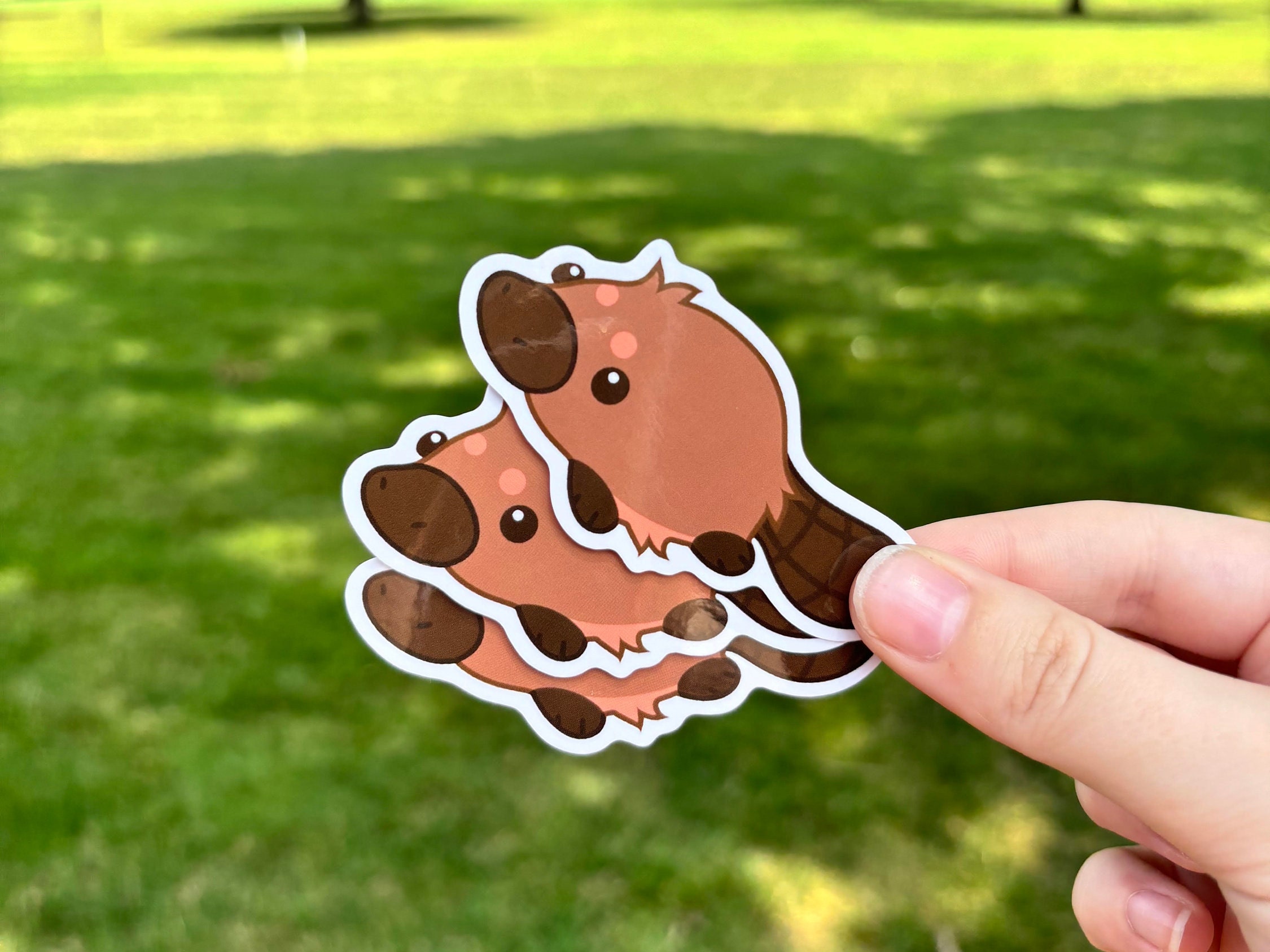 Platypus Vinyl Sticker - Etsy