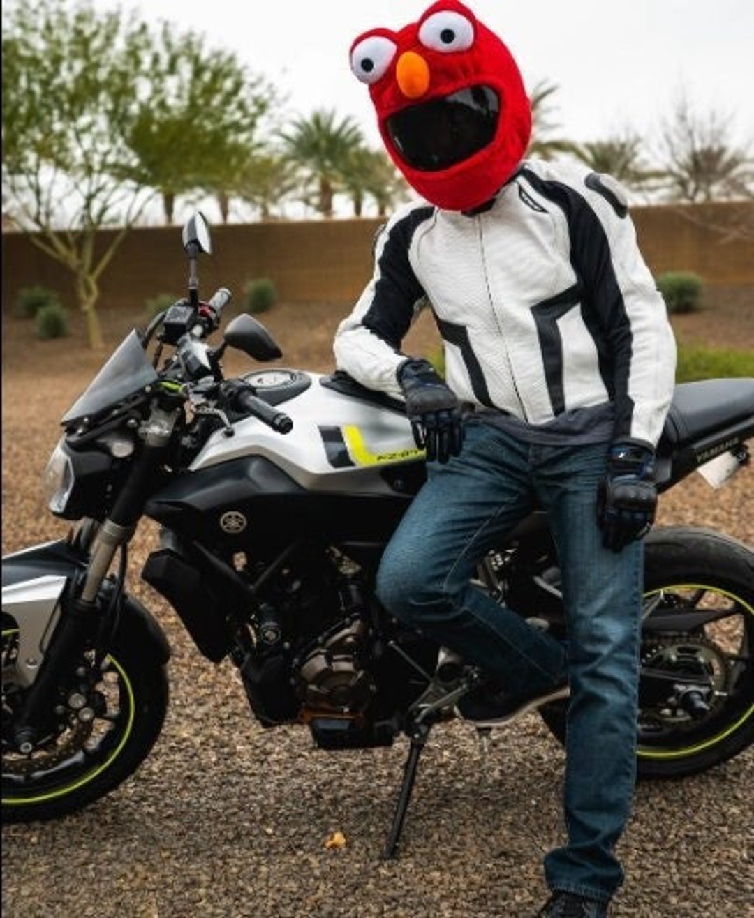 Elmo & Cookie Monster Helmet Covers for Motorcycles - Etsy