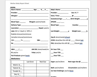 Postpartum Report Sheet (extra Baby Report Sheet Included!) - Etsy