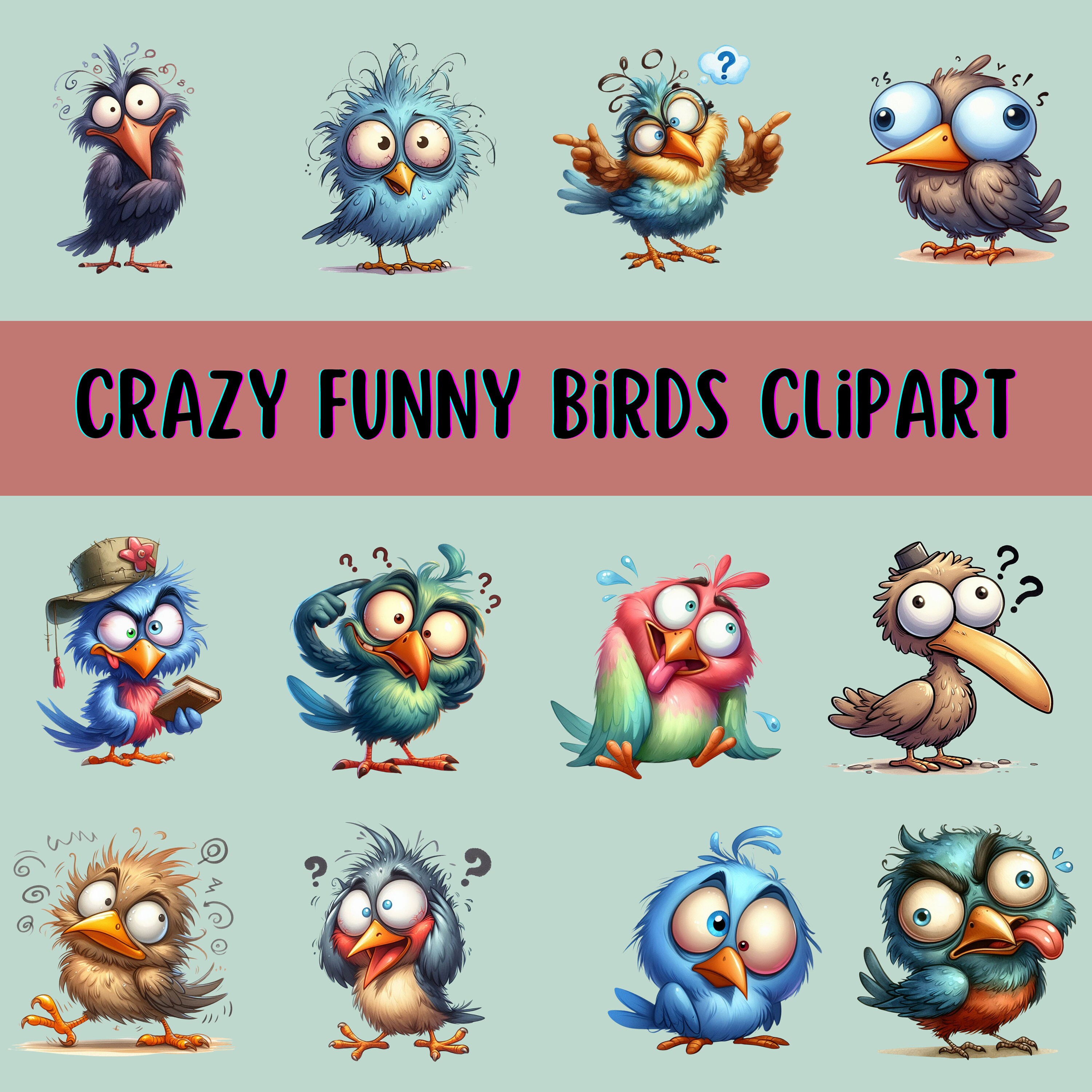 Bird Clipart 35 Collection of 35 Cute and Funny Bird Illustrations High ...