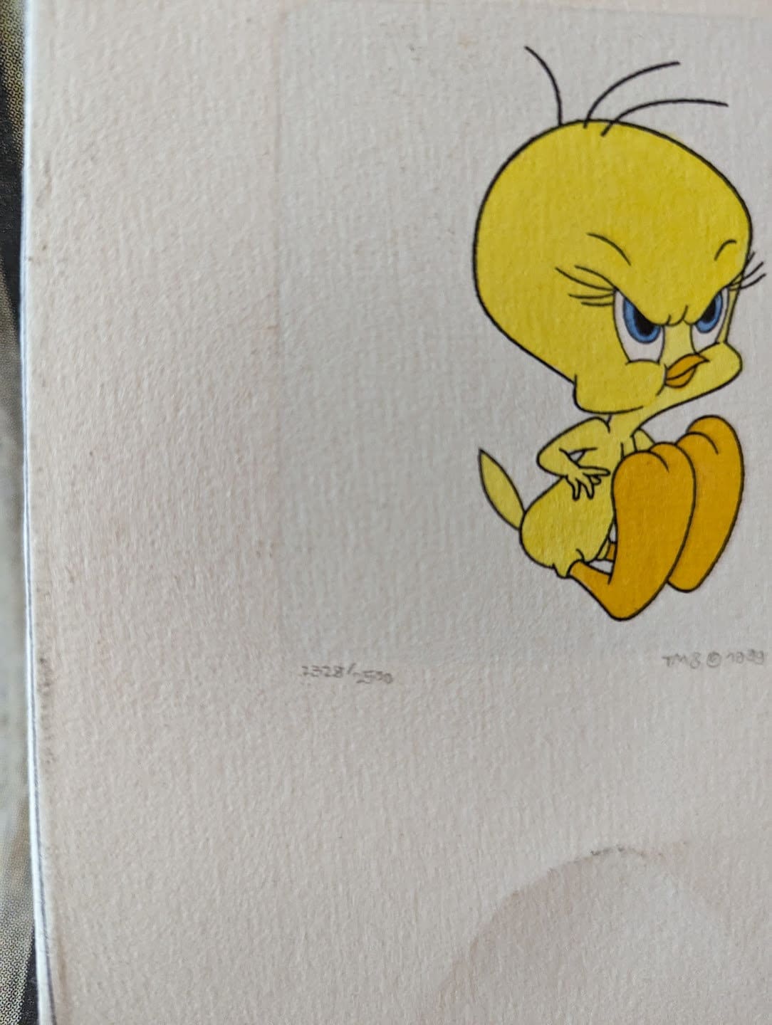 Warner Brothers Tweety Bird Hand Tinted Etching Animation Art 1999 - Etsy