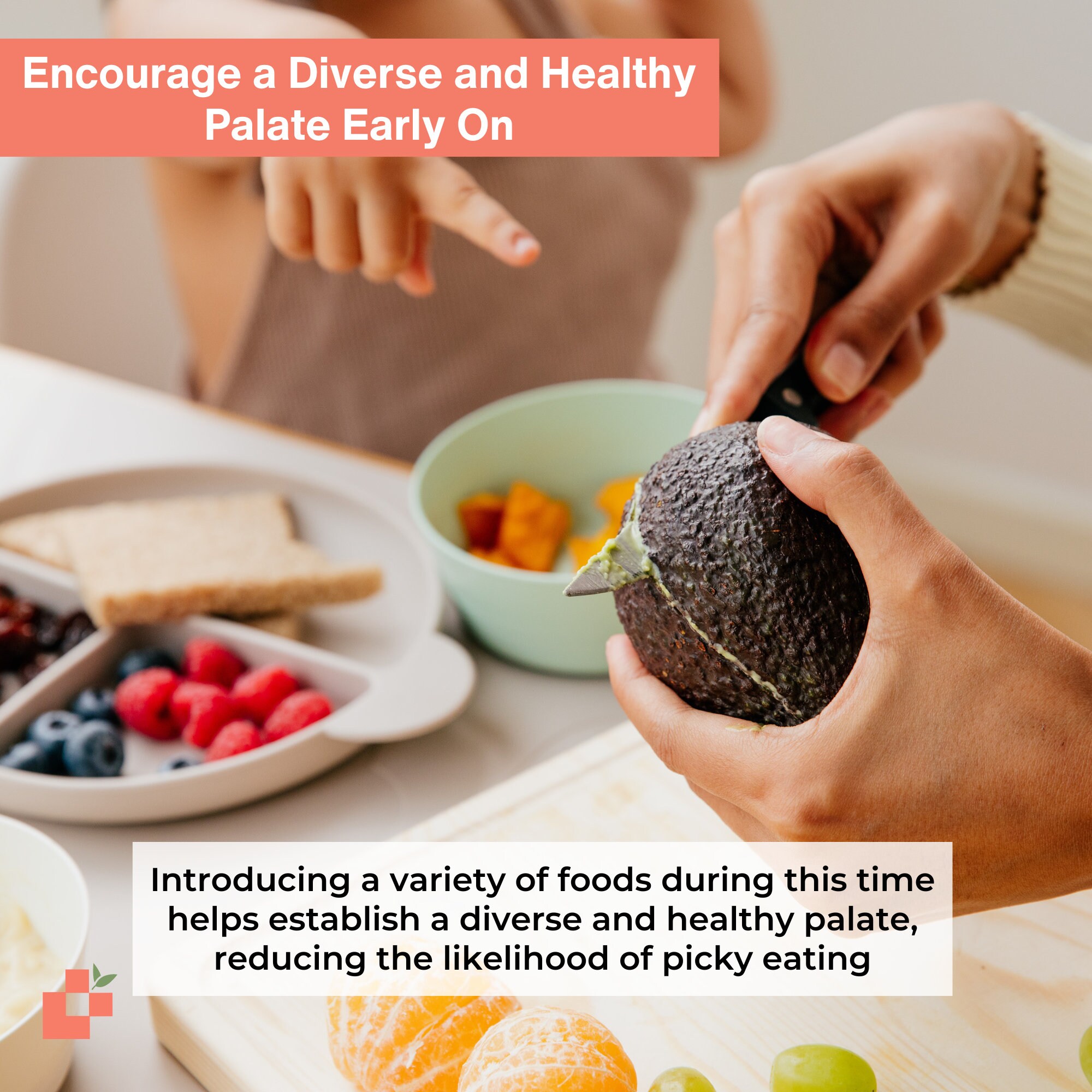 100 First Foods Before One Tracker and Weekly Meal Planner Bonus ...