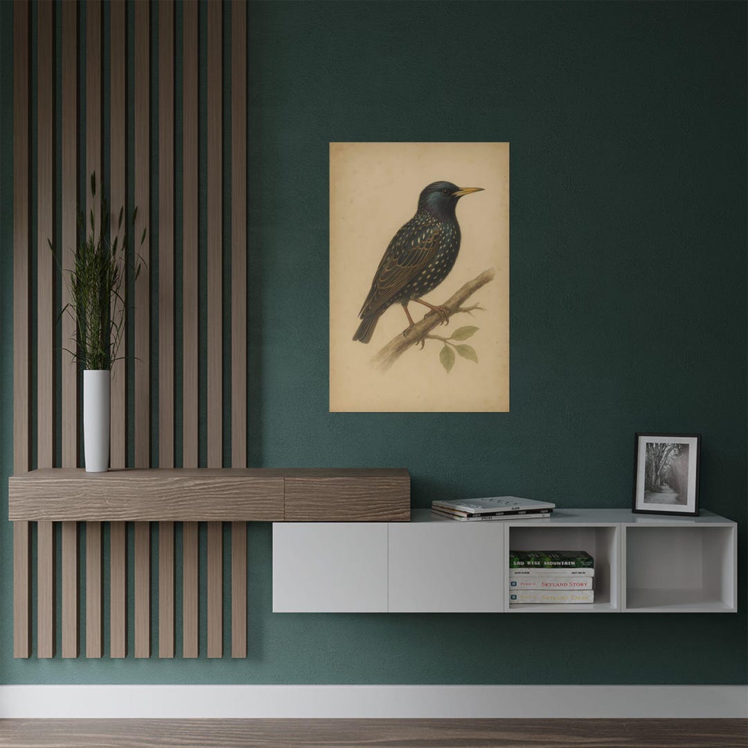 European Starling Art Print | Vintage Watercolor Bird Illustration ...