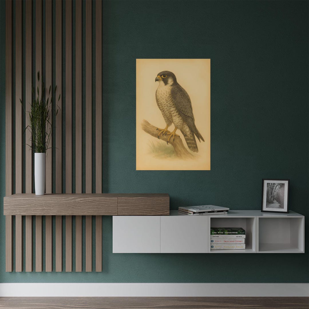 Peregrine Falcon Poster | Vintage Watercolor Raptor Print | Bird Wall ...