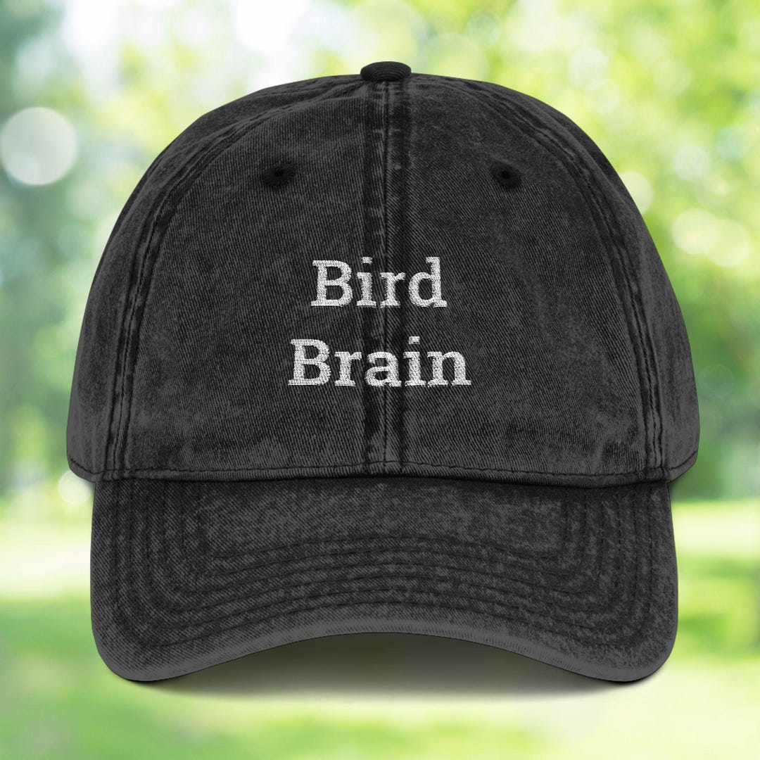 Bird Brain Hat | Funny Embroidered Birdwatching Hat | Bird Nerd Gift ...