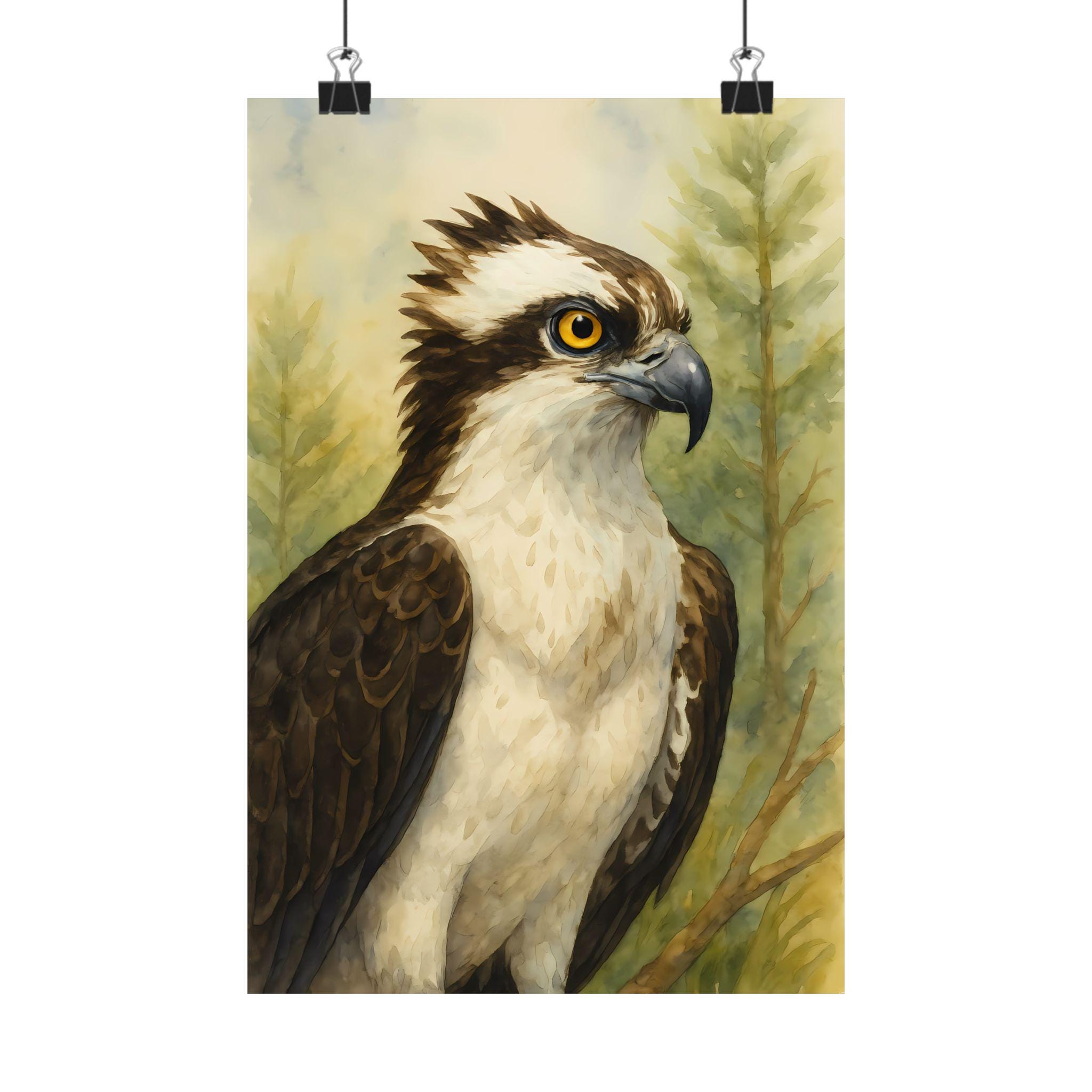 Osprey Poster | Watercolor Bird Art Print | Bird Poster Prints Framed ...
