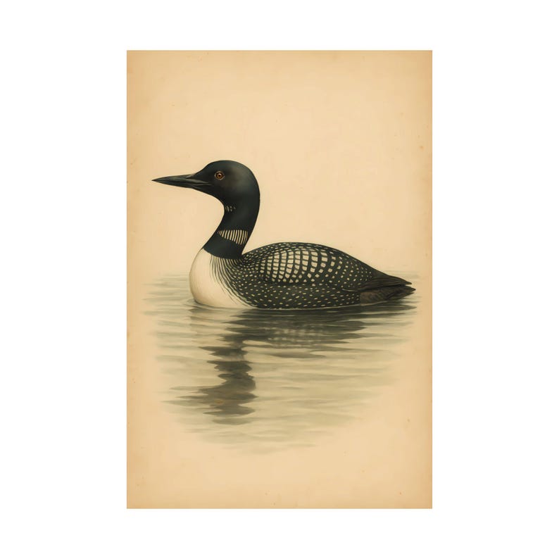 Common Loon Art Print | Vintage-style Watercolor Bird Illustration ...