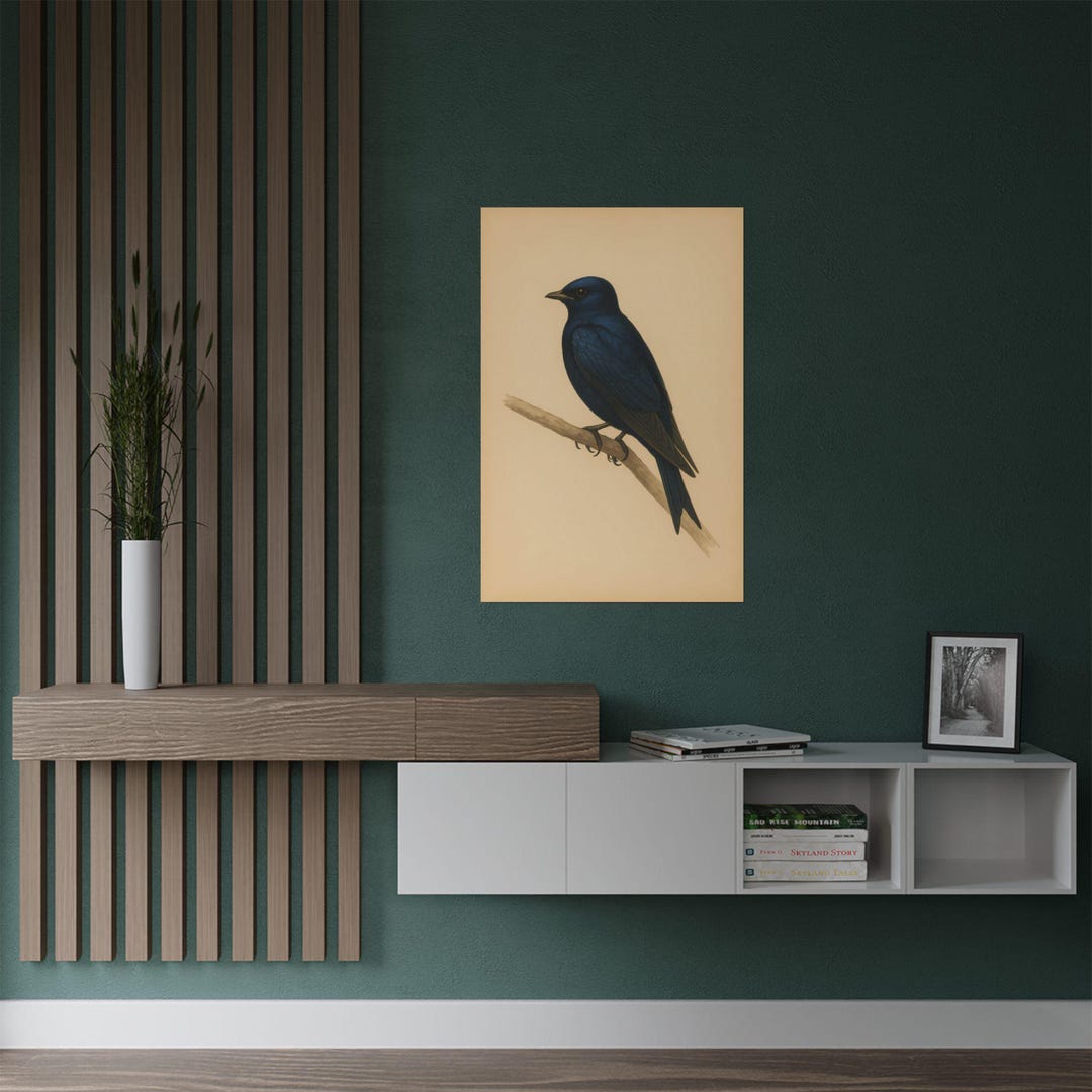 Purple Martin Poster | Vintage Bird Illustration | Iridescent Swallow ...