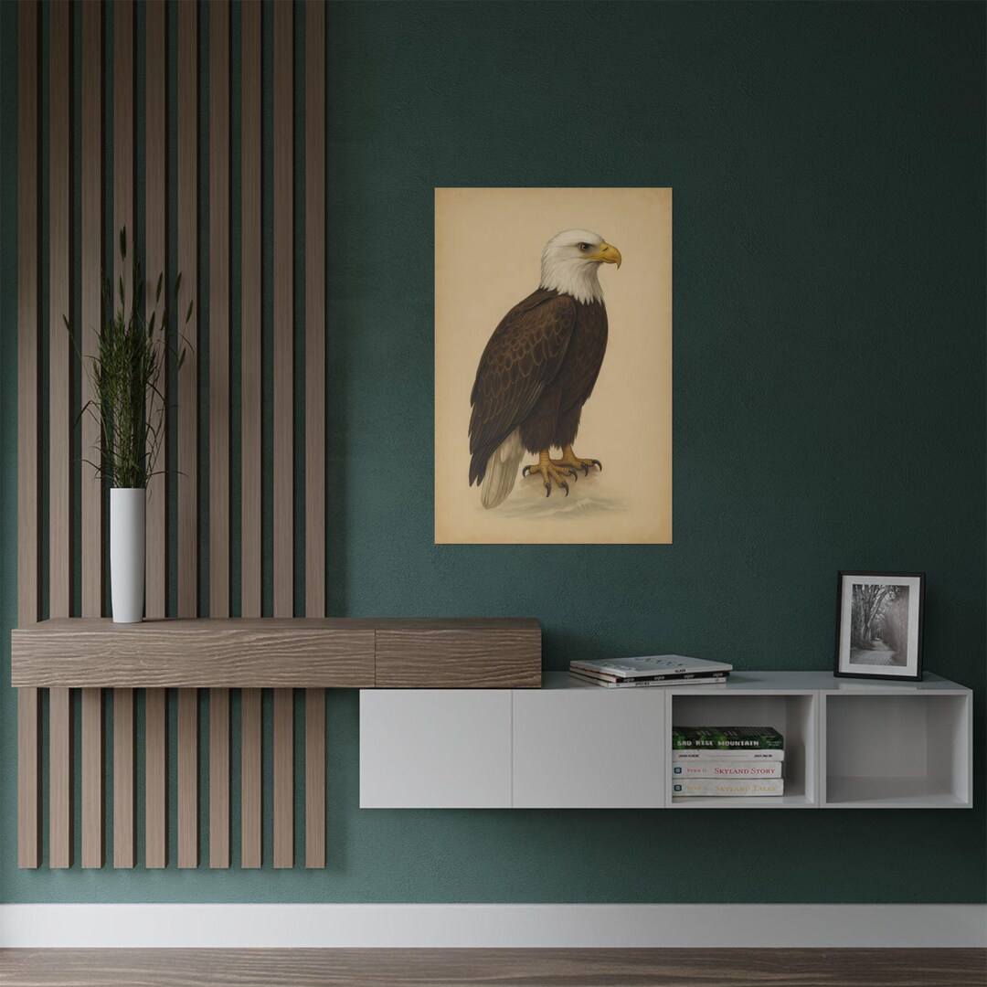 Bald Eagle Wall Art Print | Bird Illustration Poster | Naturalist ...