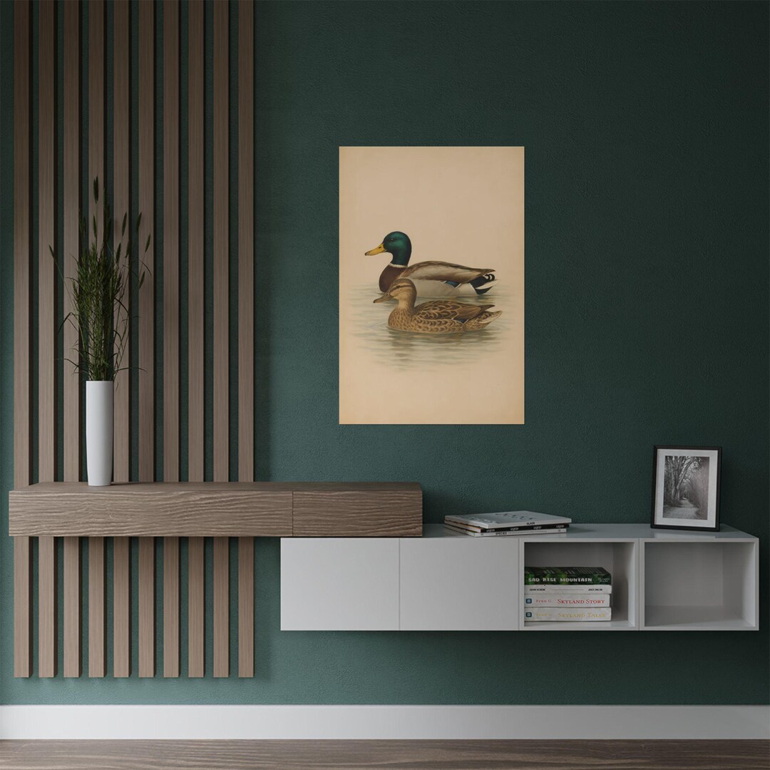Mallard Duck Wall Art | Vintage Waterfowl Illustration | Nature ...