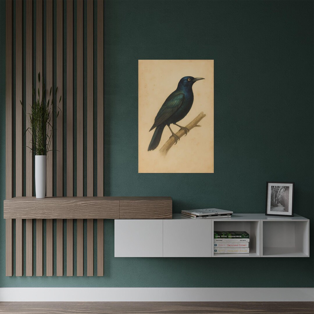 Common Grackle Art Print | Vintage Watercolor Bird Illustration ...
