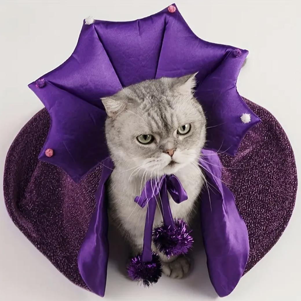 Halloween Pet Wizard Costume: Cape and Star Hat - Etsy