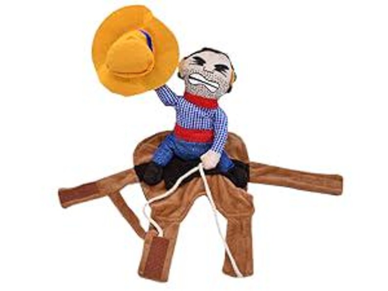 Funny Cowboy Rider Pet Costume: Halloween Costume Party Outfit - Etsy
