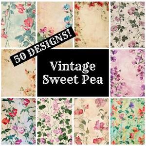 Vintage Sweet Pea Digital Paper: Scrapbook Journal Inserts (PNG) - Etsy