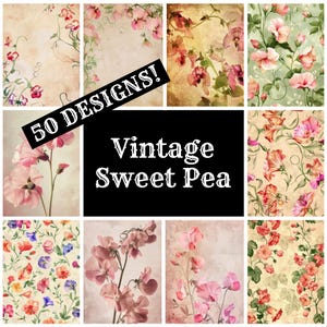 Vintage Sweet Pea Digital Paper: Scrapbook Journal Inserts (PNG) - Etsy