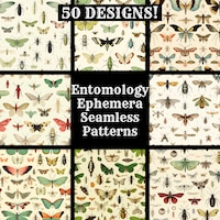 Entomology - Etsy