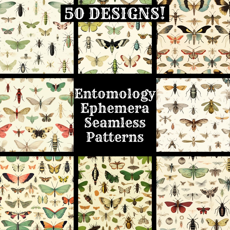 Entomology - Etsy