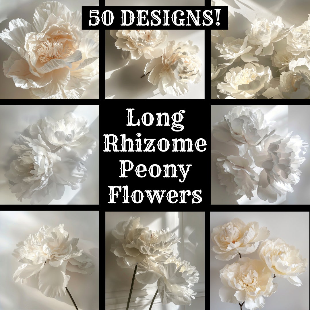 Long Rhizome Peony Flowers Paper, Rhizome Peony Printable Paper ...
